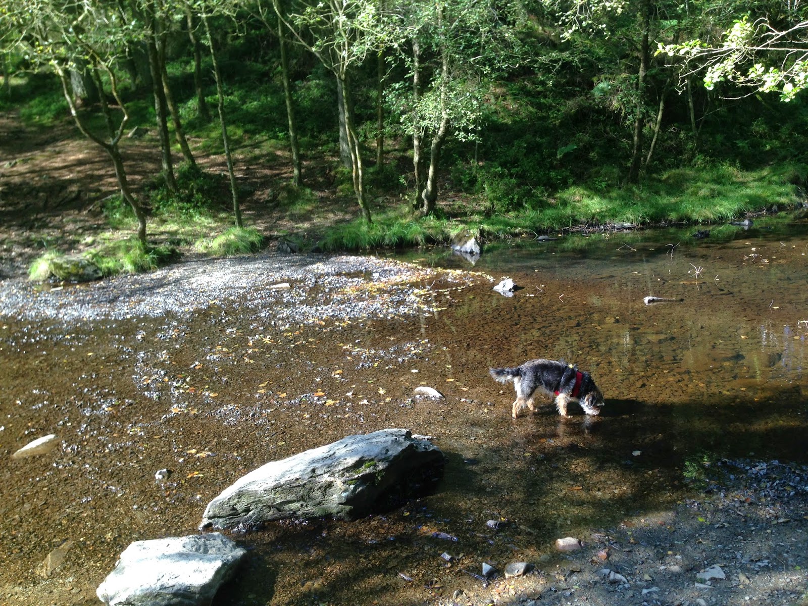 Ghyll Stile Mill Cottage