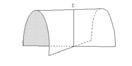 Jean-Pierre Petit: El topologicón en castellano y... - Alberto Sladogna ...