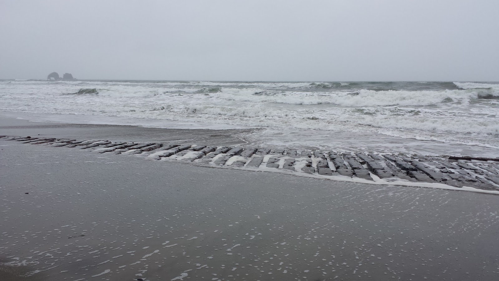 The Heritage Huntress: The Wreck of the Emily G. Reed