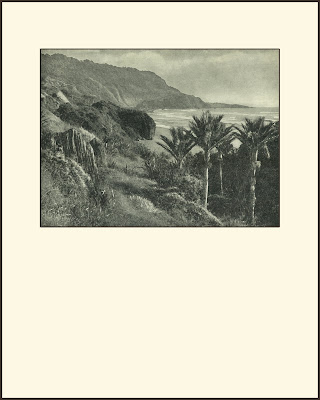 Early New Zealand Photographers: CHANCE, George