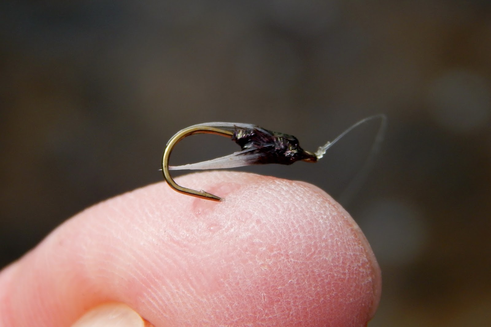 Small Stream Reflections: Small Stream Journal 4-24-17, The Smoke Fly