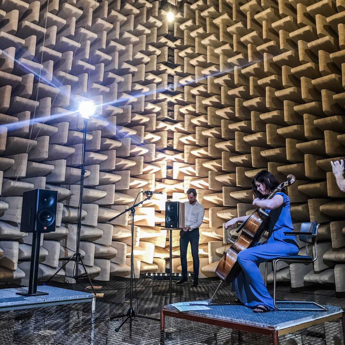 DUTCH & DUTCH 8C ACTIVE SPEAKERS – M & S | Ultimate High-Fidelity