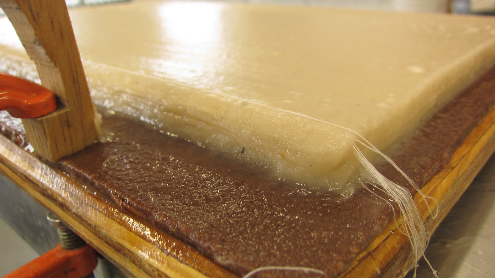 RADHA • PANDEY: Fall 2011 : Japanese Papermaking