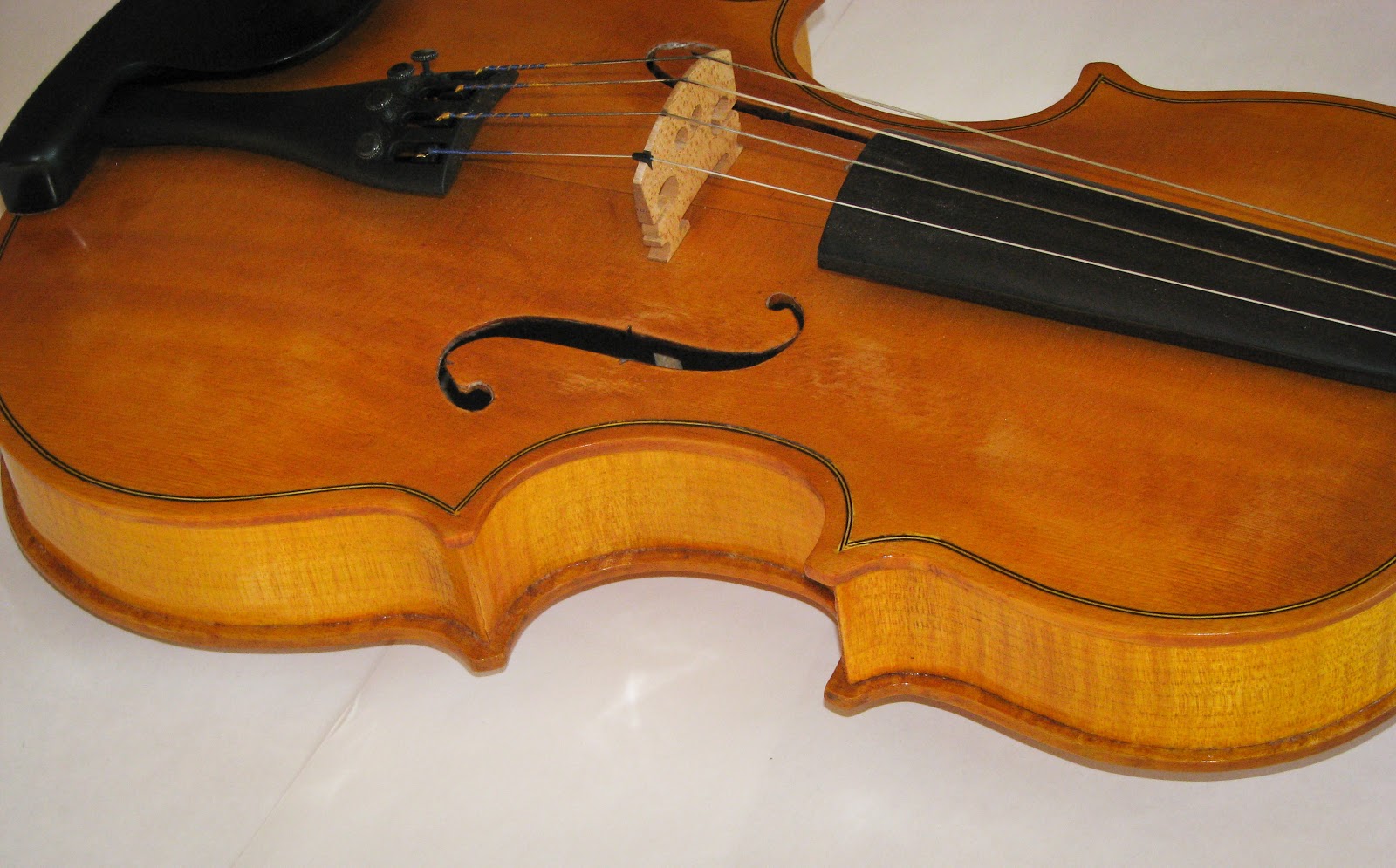 Violins of Plymouth: Gaspard da Salo