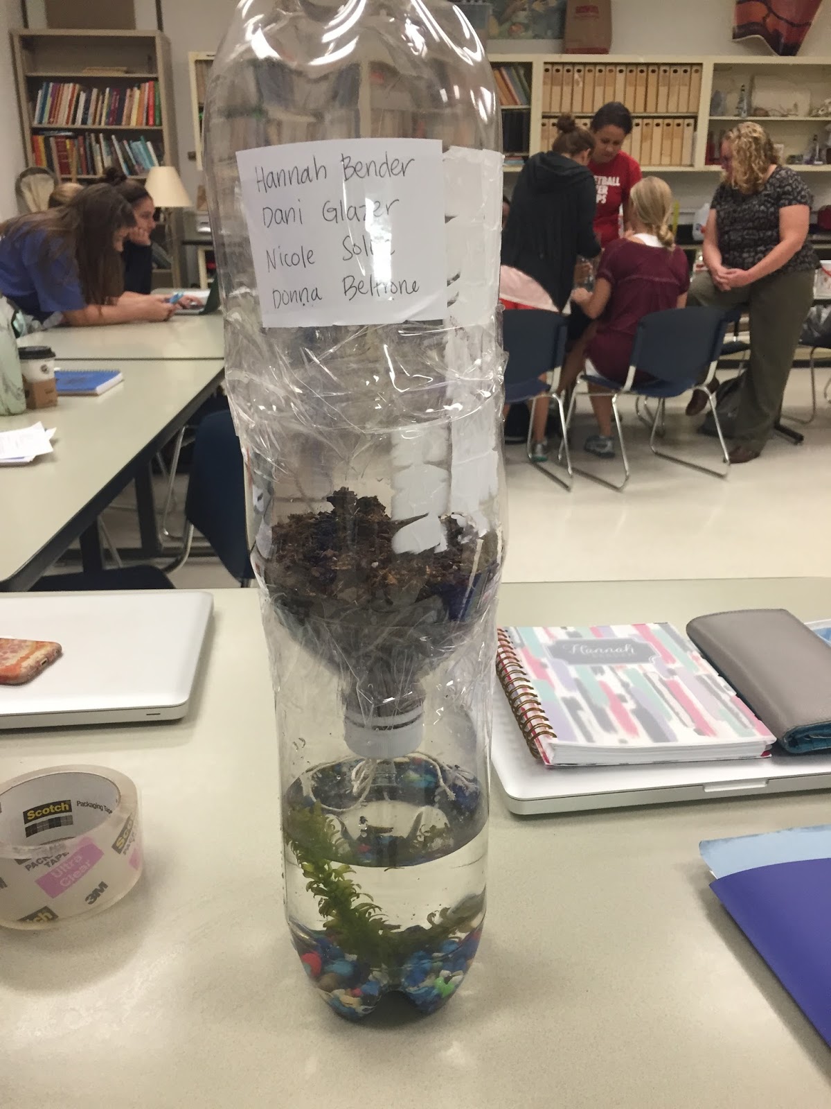 Ecosystem In a Bottle: Week 1