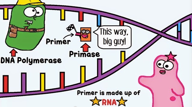 My Biology Blog: February 2015