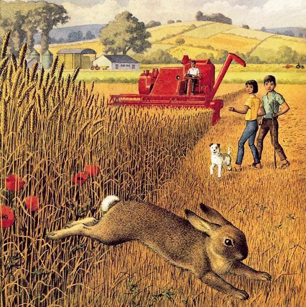 Ronald Lampitt • Ladybird Fly Away Home