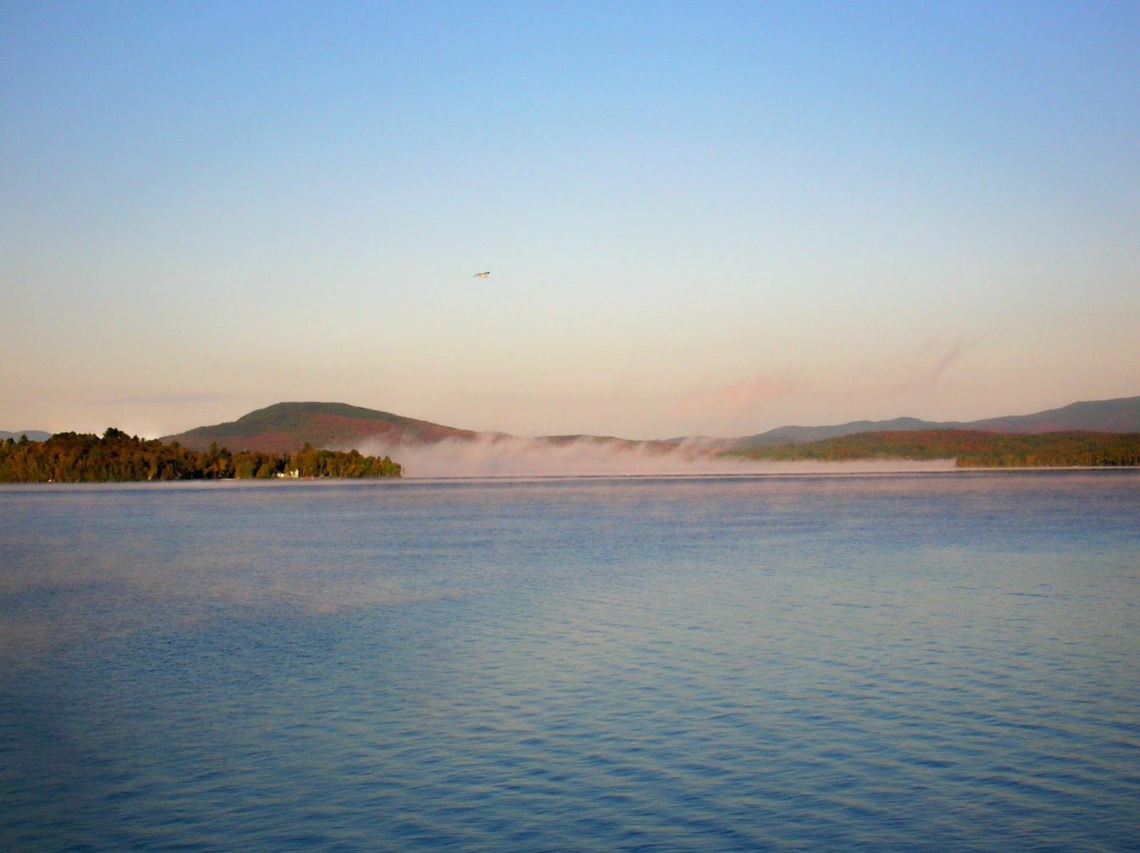 Small Stream Reflections: The Rangeley Lakes....Maine.