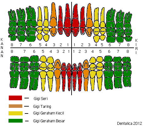 KAMUS DENTALICA ~ Dentalica