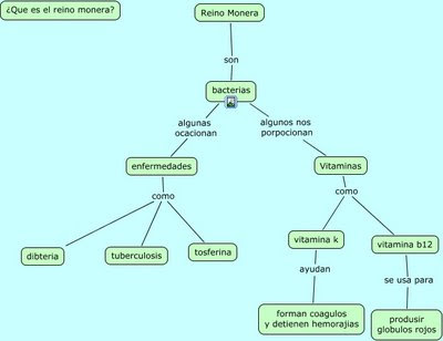 Taxonomia: Reino monera