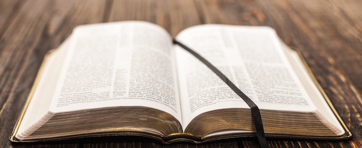 EGLISE : SEMENCE ET MOISSON : LES TROIS TYPES D’HOMMES