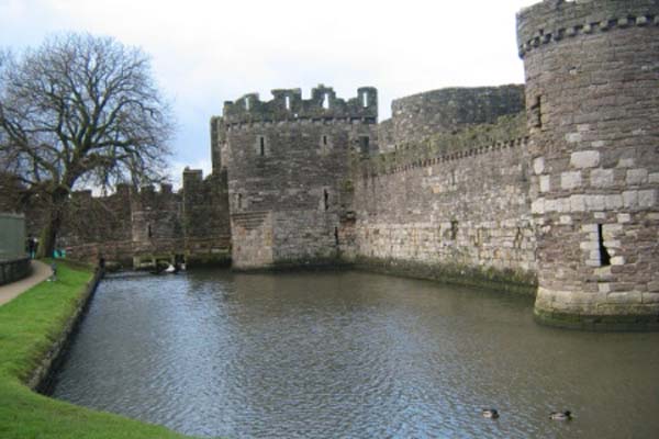 Natuurlijke afsluitingen & omheiningen | Afsluitingen Blog