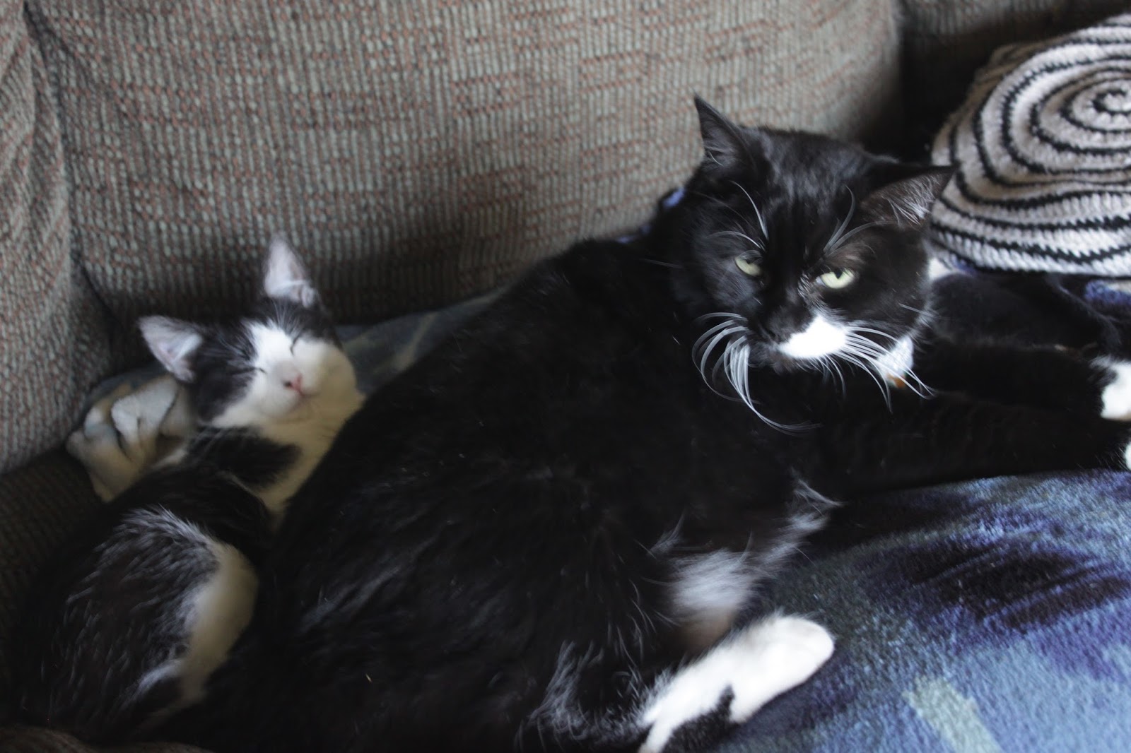 Whanau Farm: Tribute