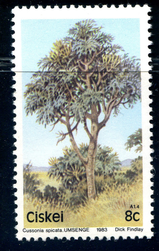 BIODIVERSIDAD FORESTAL: Biodiversidad Forestal (CISKEY)