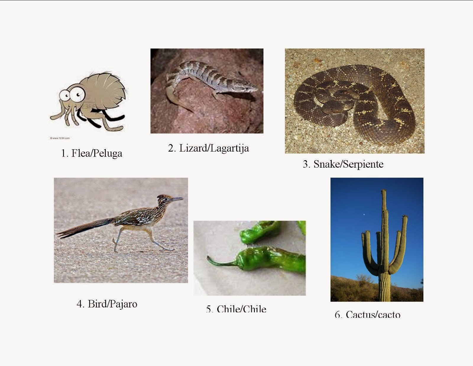 Speech-LanguageTherapySessions: There Was a Coyote Who Swallowed a Flea