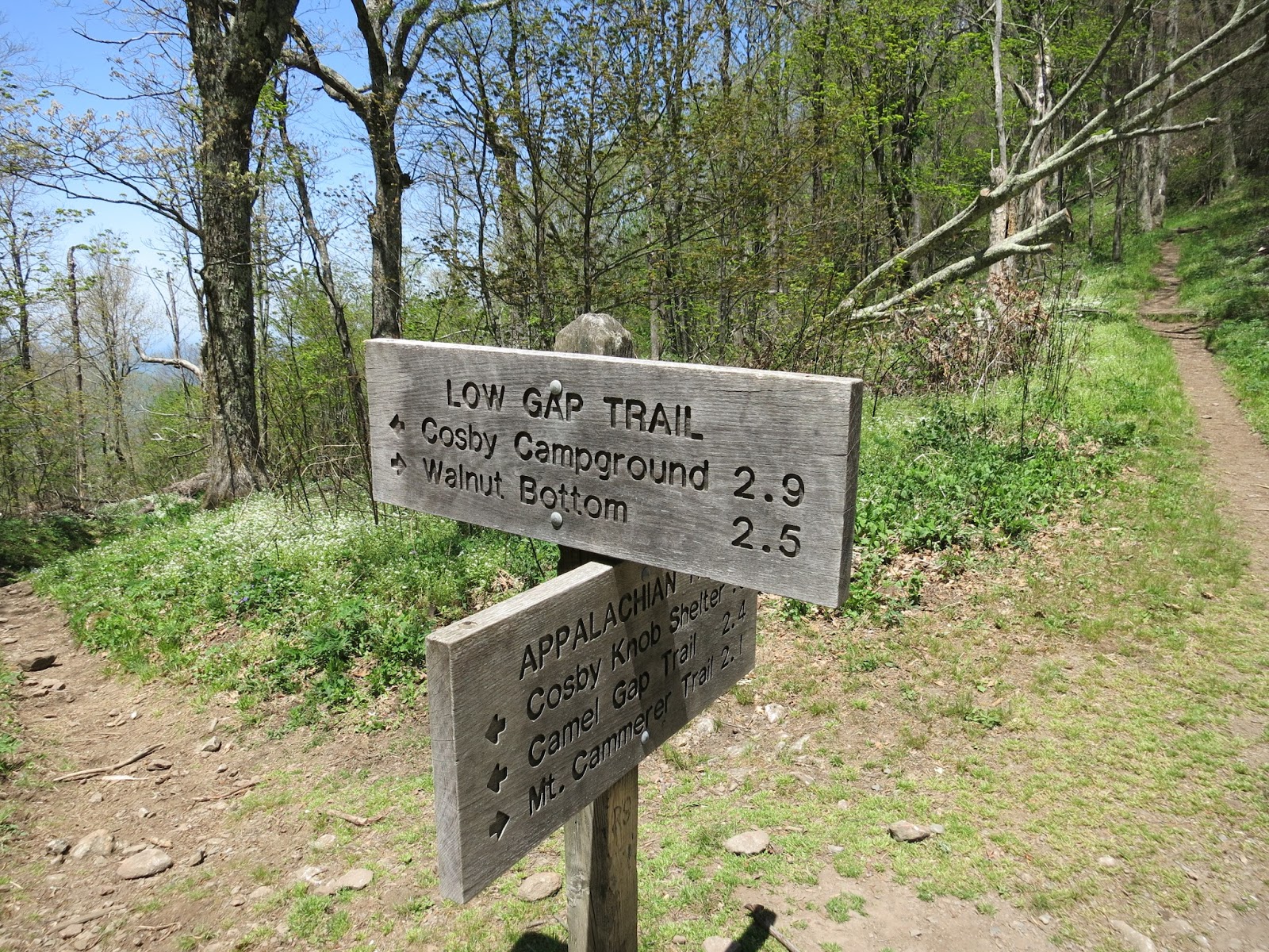 Come Along With Chong: Snake Den Ridge - Appalachian Trail - Low Gap Loop