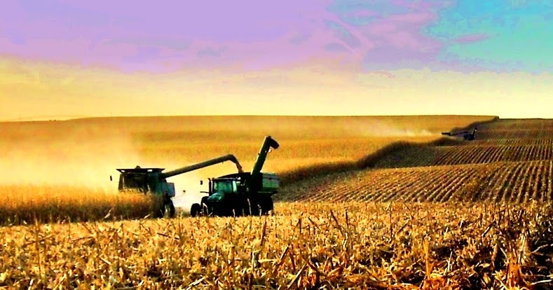 Grace Notes: Lessons Learned From Farmers About The Harvest