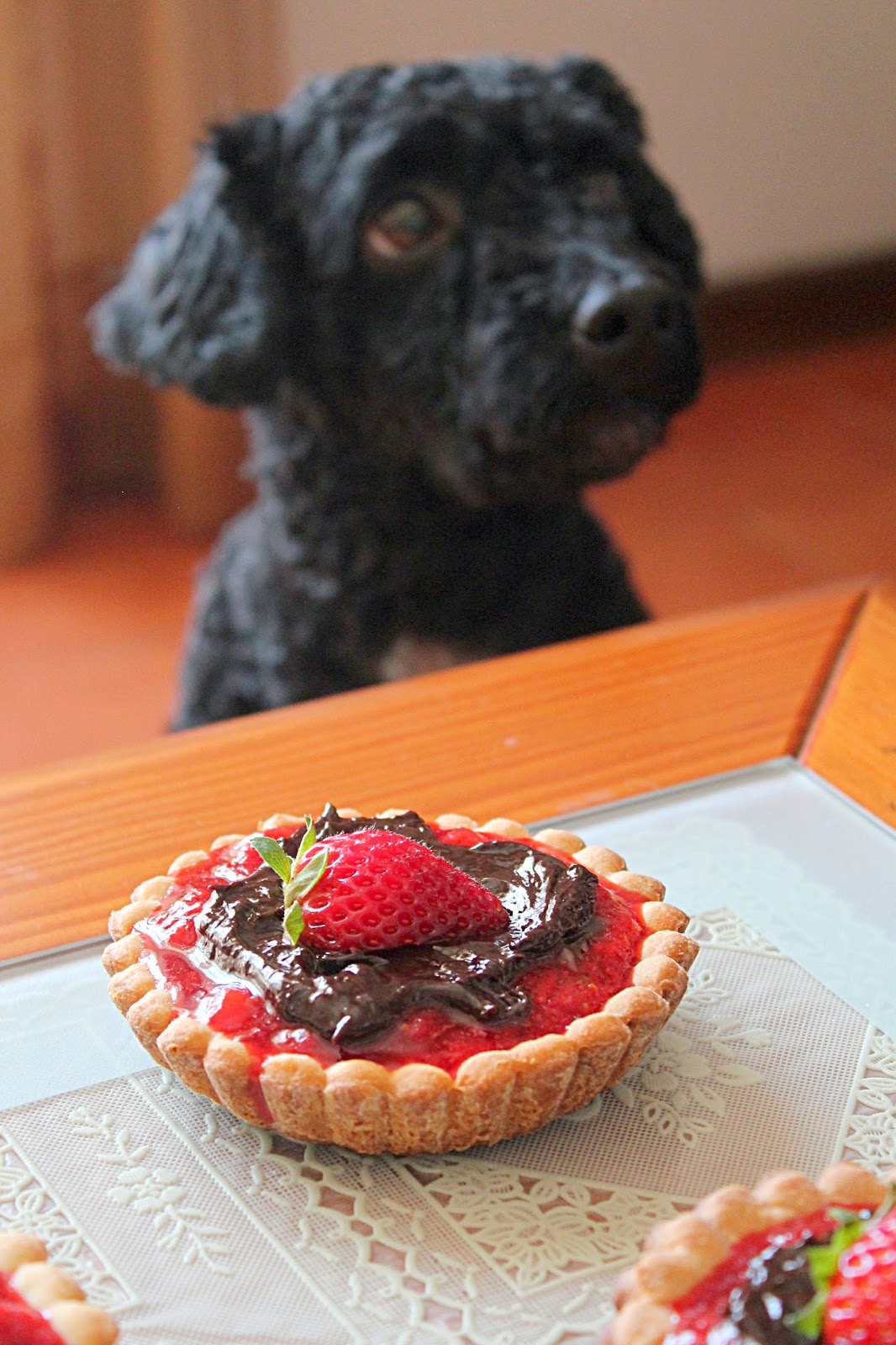 Tarteletes de morango e chocolate