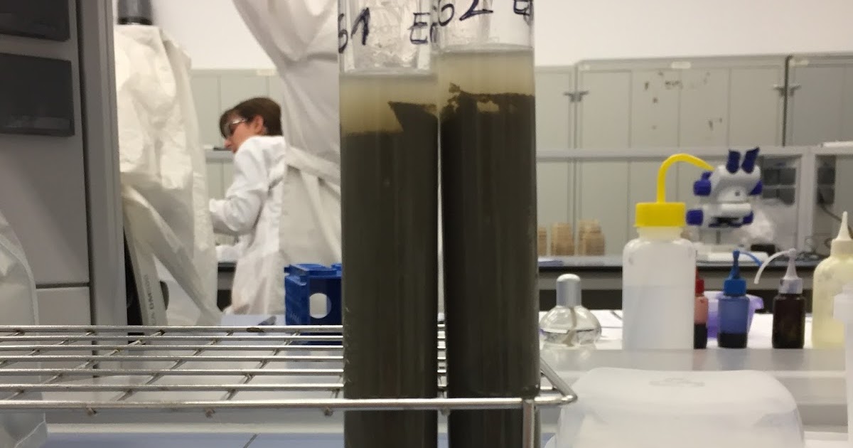 Winoblog: Winogradsky Column First Week (Group A)