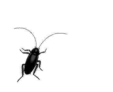 Dancing Cockroach Gif Transparent