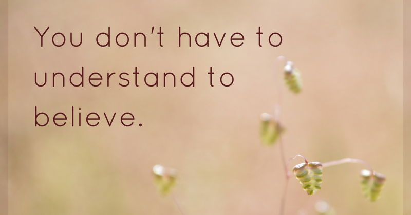 Apples of Gold: You Don't Have to Understand to Believe