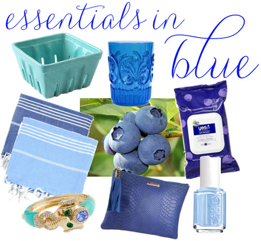 everything LEB: essentials in blue