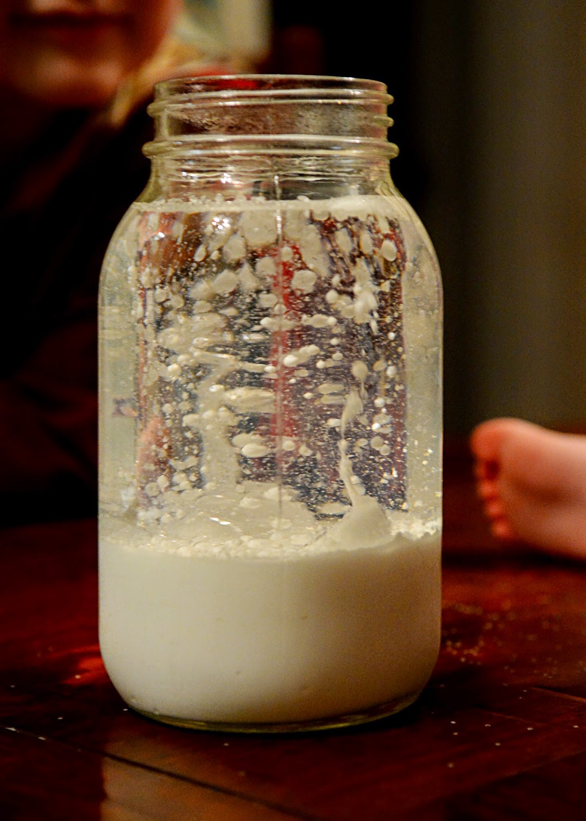 This Farm Family's Life: Snowstorm In a Jar...