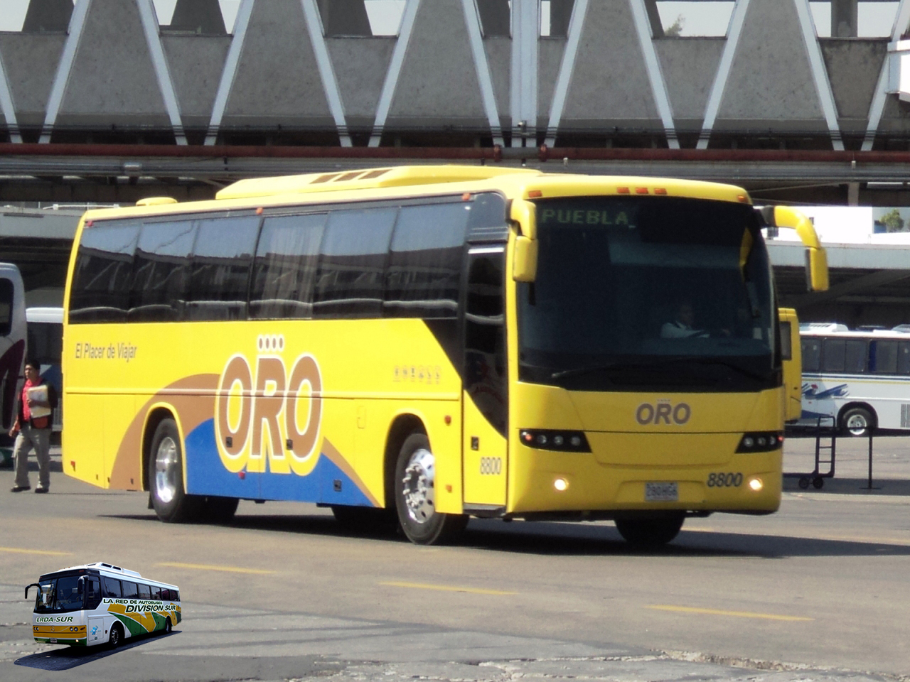 La Red de Autobuses División Sur: GALERIA ERCO-ORO