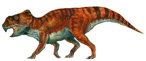 Mundo Pré-Histórico: Ceratópsios (Ceratopsia)