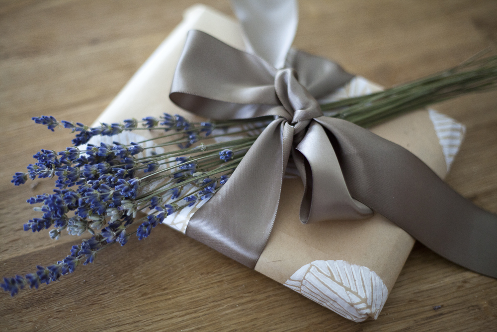 Downloadable Gift Wrap Pattern - ALANA DAVIS PHOTOGRAPHY