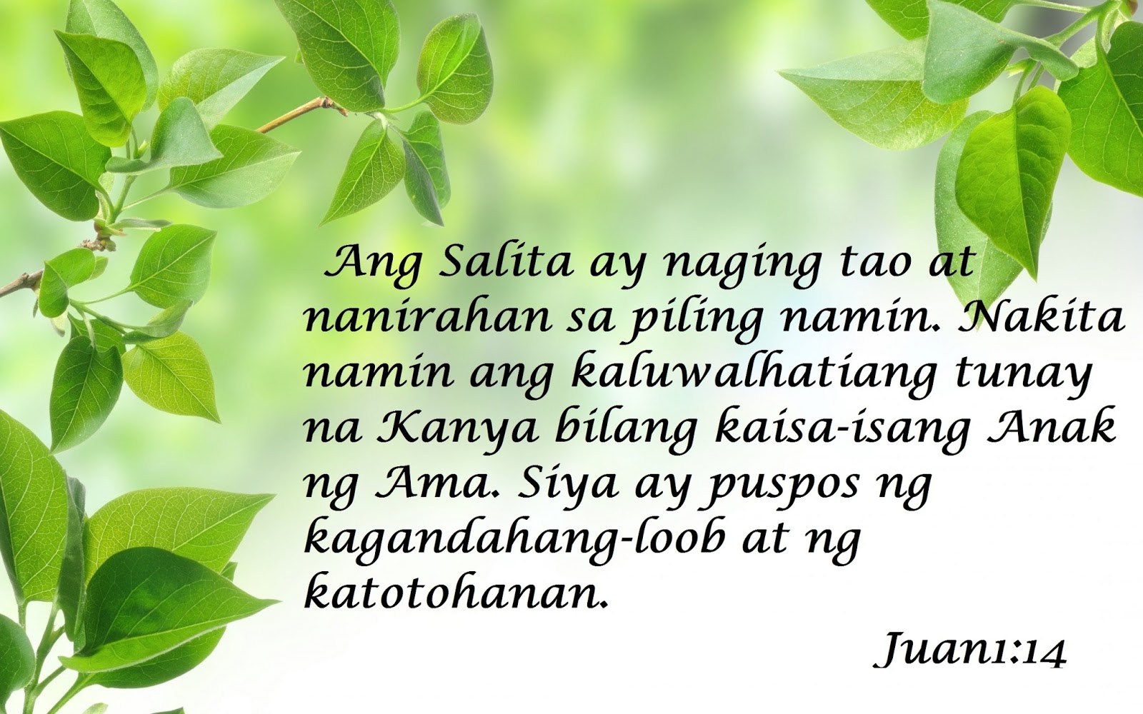 My Homeworks: My Verses