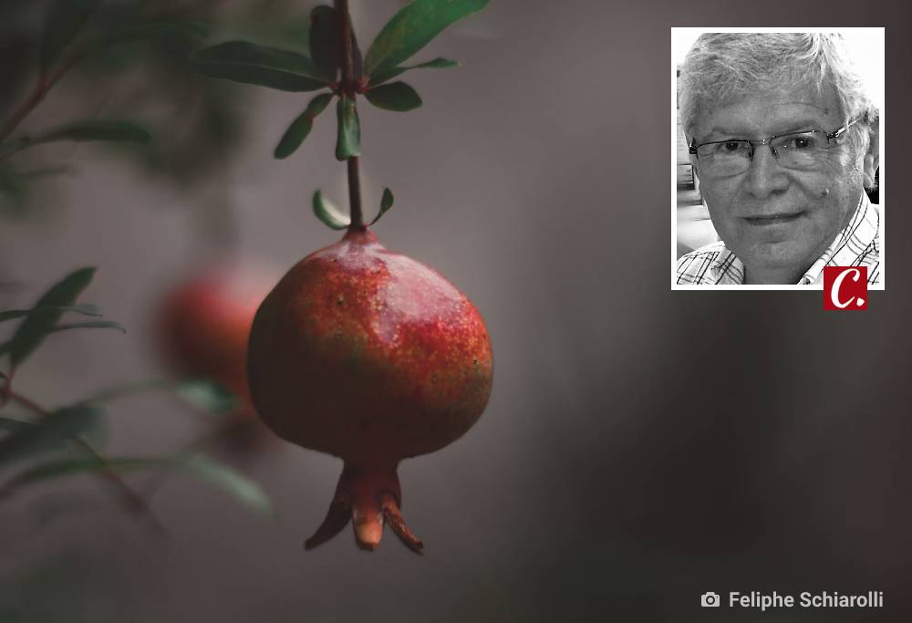 De Pierre a Malaka | Ambiente de Leitura Carlos Romero