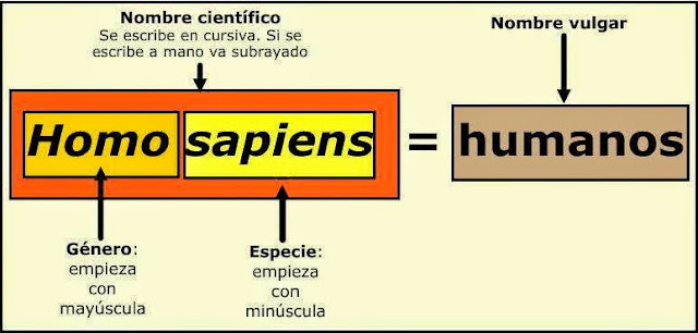 EXPLOREMOS EN LA GENETICA: TAXONOMÍA