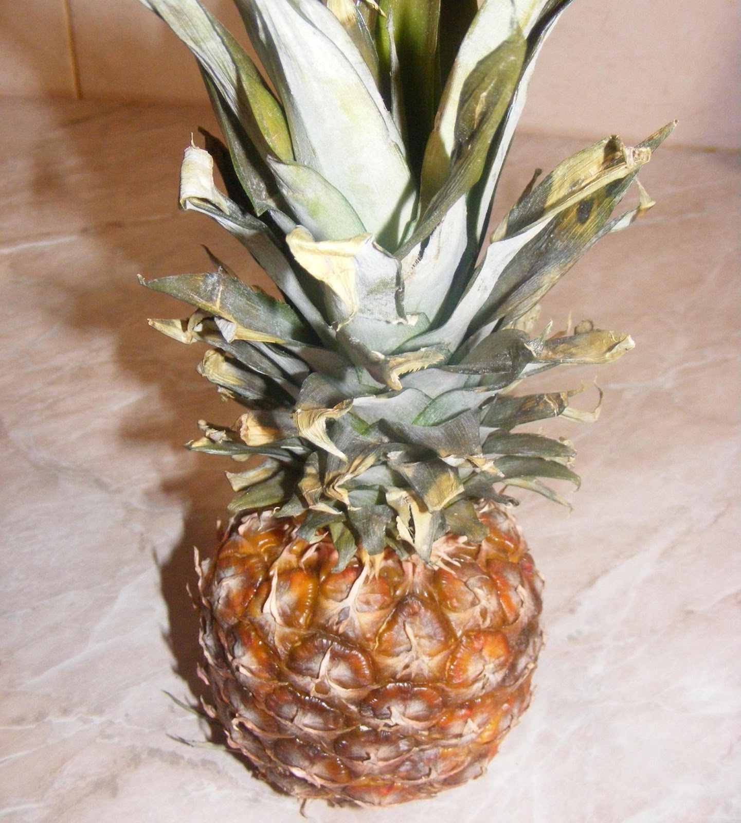 Ananasul Fructul Ananas | Preparatedevis.ro
