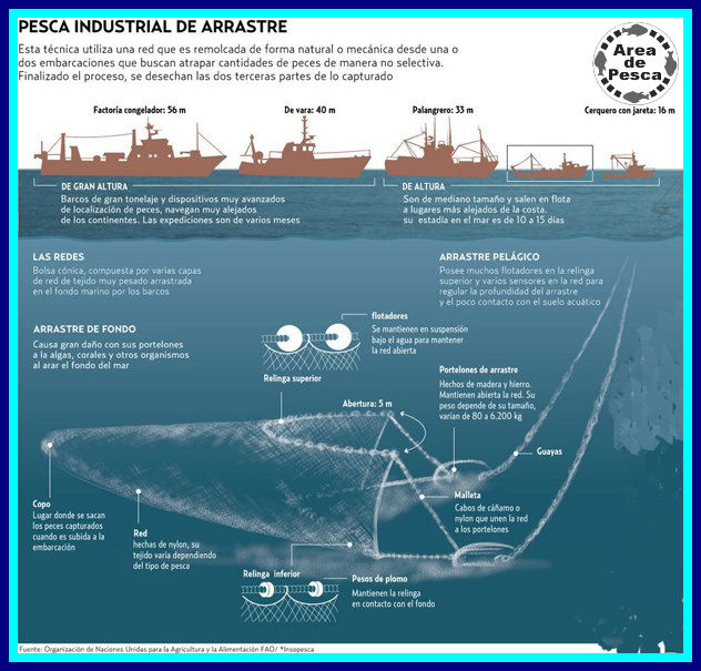 Area de Pesca: Por que la Pesca de Arrastre es tan destructiva