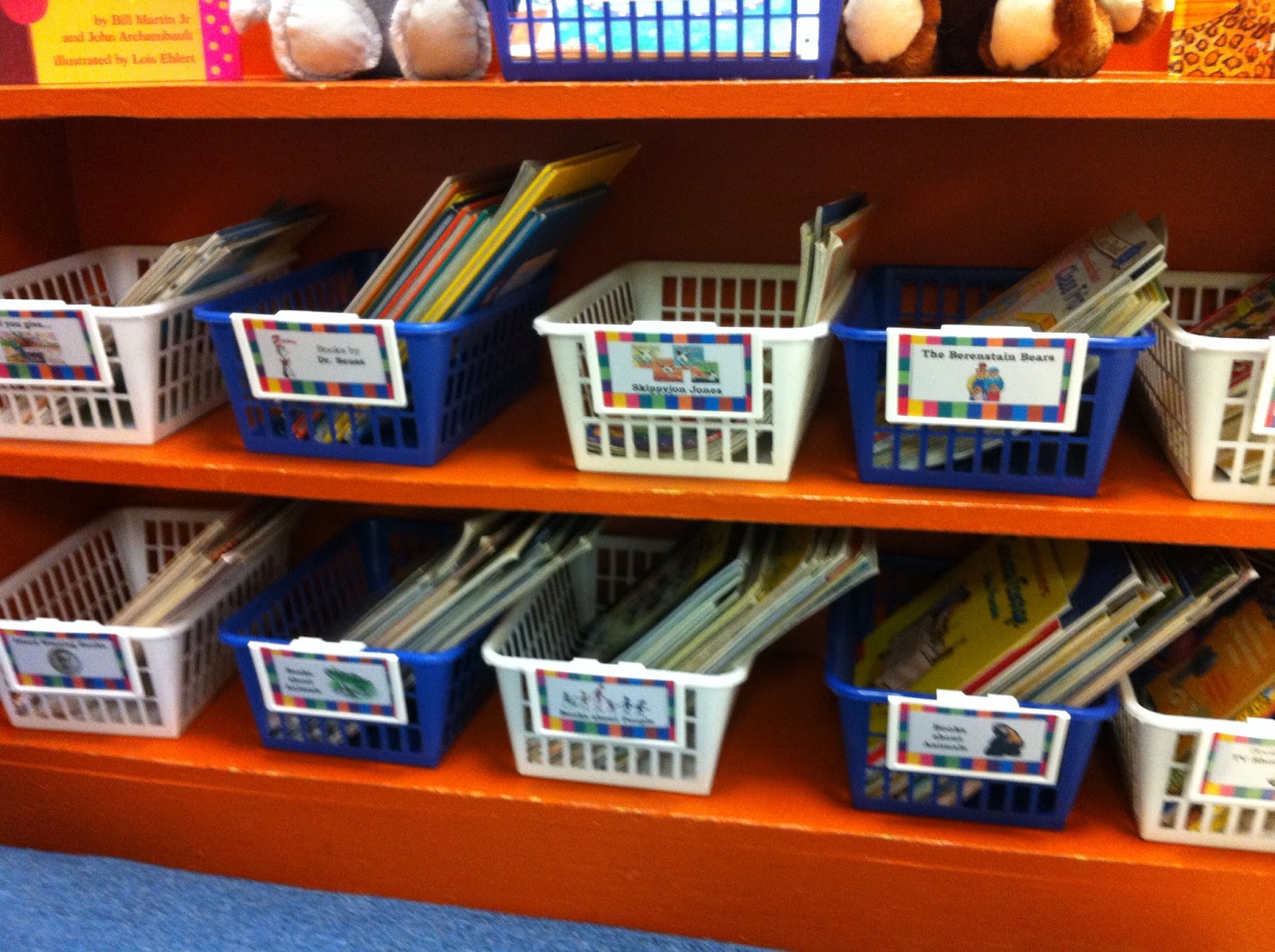 The First Grade Jungle Room: Classroom Library Basket Label Holders