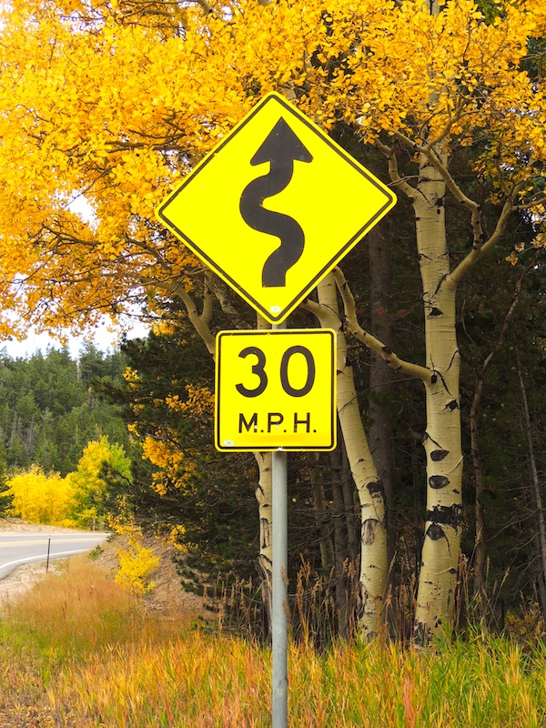 SpringLeaf Studios: Hello Yellow