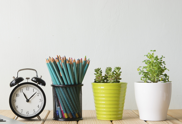 INSPIRASI..!! Inilah 45 Model Tanaman Hias untuk Meja Kerja yang Bagus ...