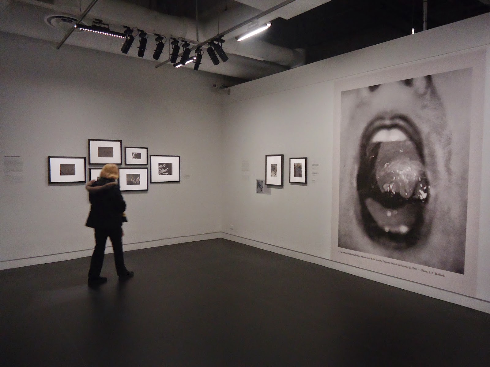 Blog du peintre Francisco Rivero: Jacques-André Boiffard est le dernier ...