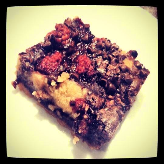 Food Fanatic Foodie: Dark Chocolate Raspberry Bars