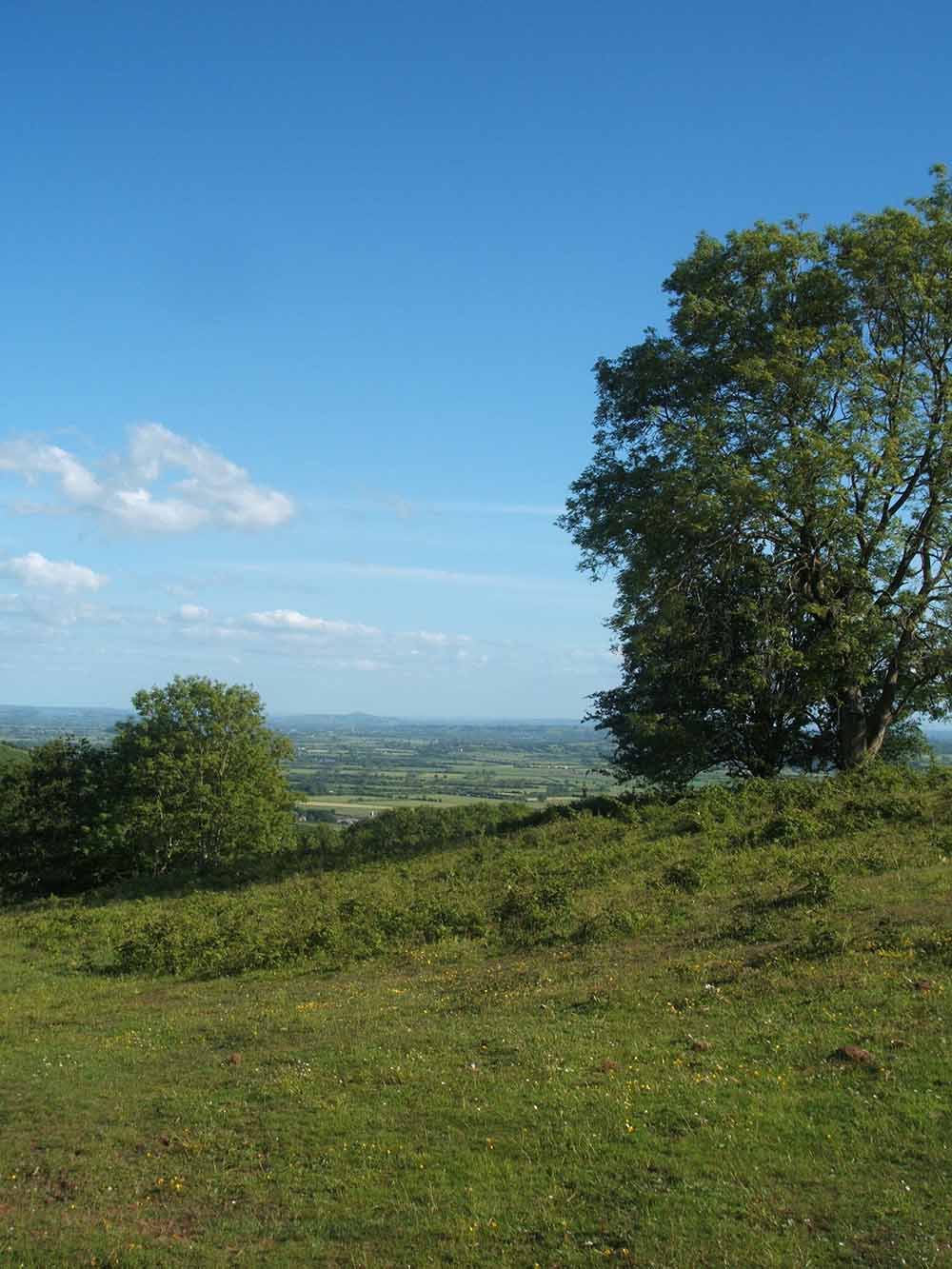 Me, You and Magoo: Walking on Wavering Down on the Mendips in Somerset
