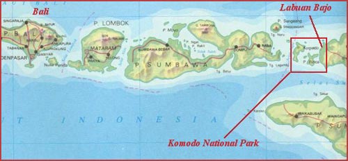 5 the Appeal of Komodo Island National Park in the East Nusa Tenggara ...