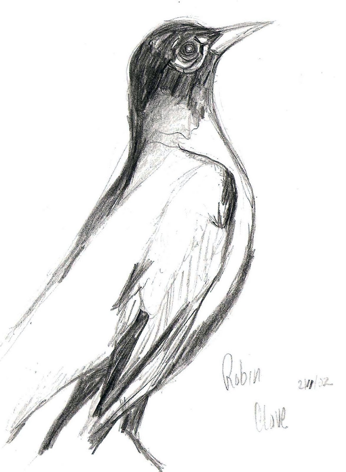 Pocketful of Sketches: Fly Robin Fly