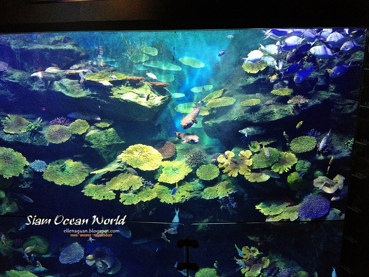 Cuisine Paradise | Singapore Food Blog | Recipes, Reviews And Travel ...