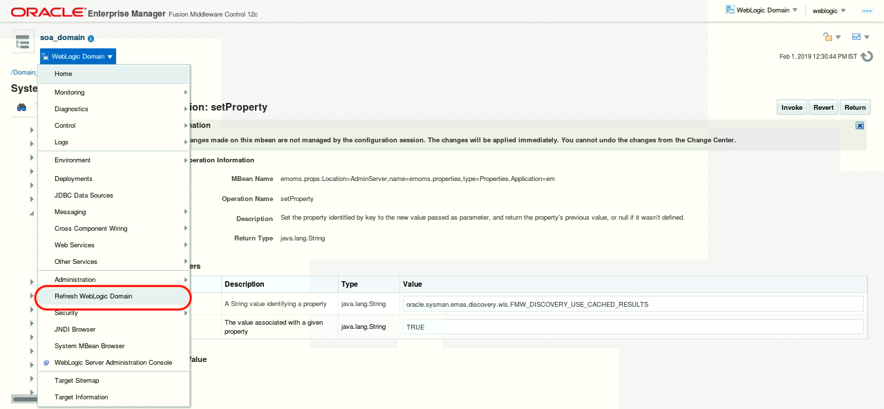 Weblogic Enterprise Manager Fusion Middleware Control 12c takes too ...