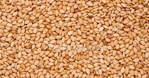 Eastern Grade Farm: KILIMO BORA CHA UFUTA