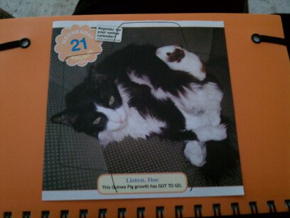 Make. Shop. Live.: How-To's Day: Make Small Enclosure Envelopes