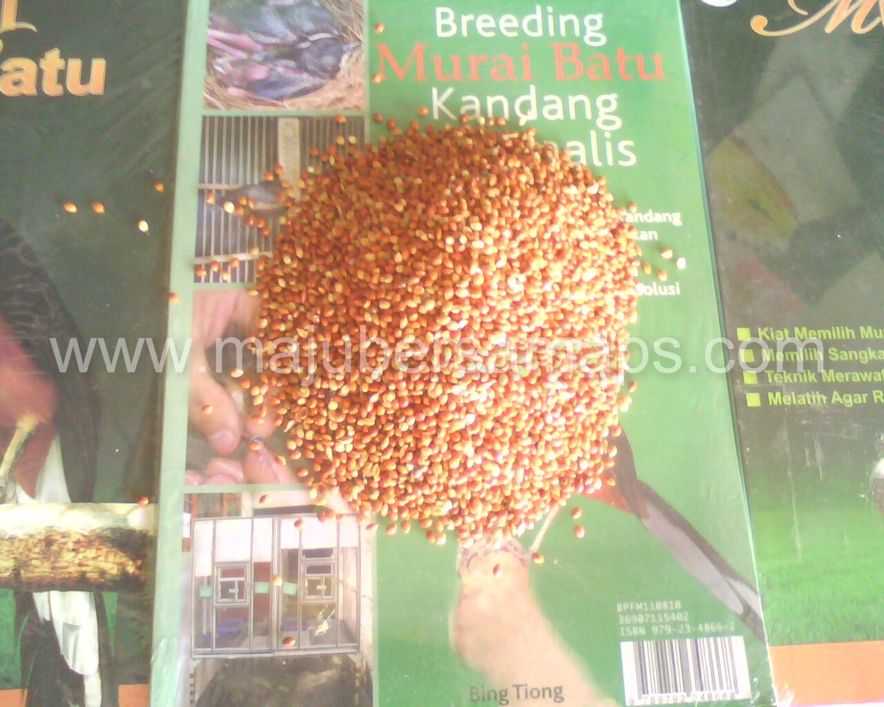 MAJU BERSAMA Poultry Shop: PAKAN BURUNG : JEWAWUT/MILLET BERKUALITAS