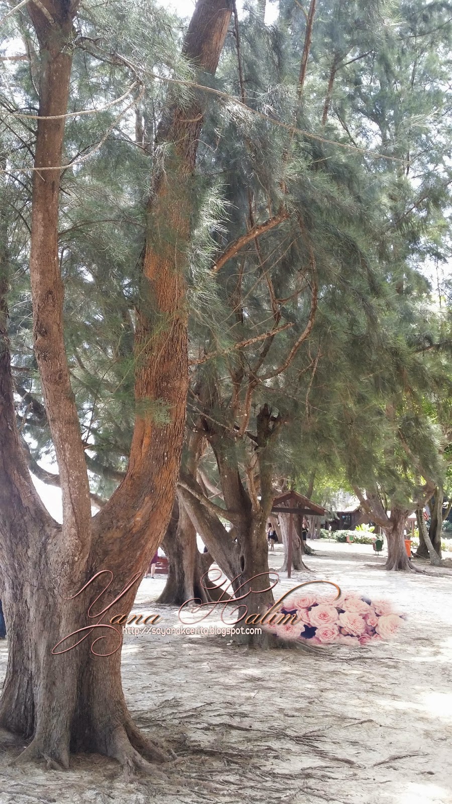 Percutian ke Sabah - Part 10 (Pulau Manukan)