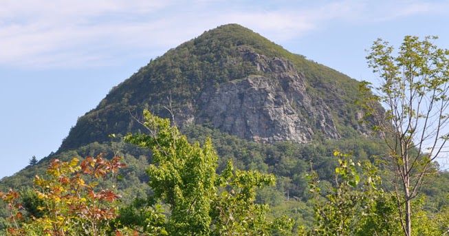 wash wild: Birdseye View